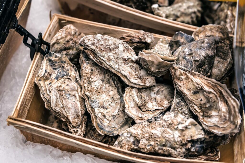 Alles wat je altijd al wilde weten over oesters | Miljuschka