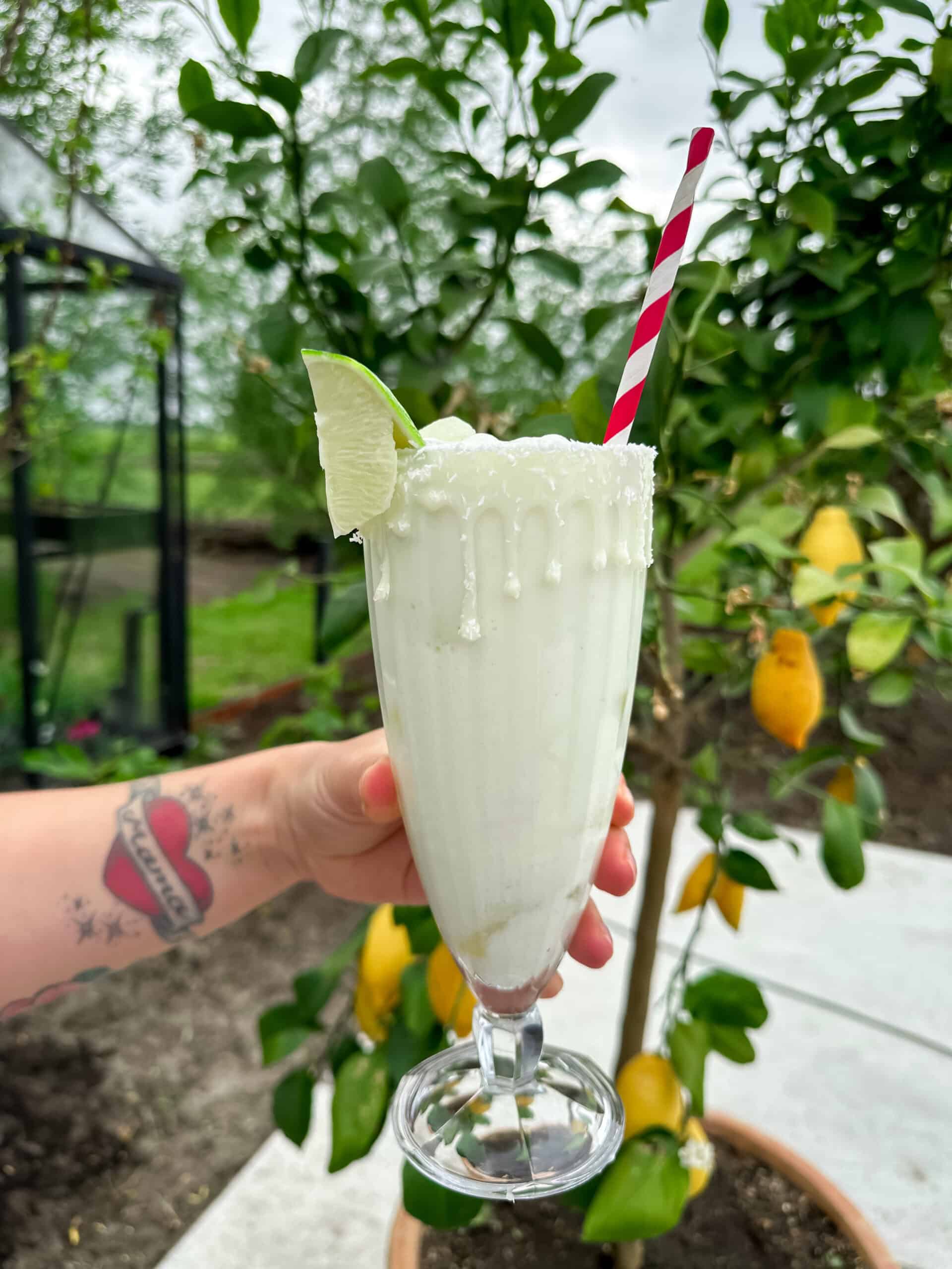 Braziliaanse limonade | Miljuschka