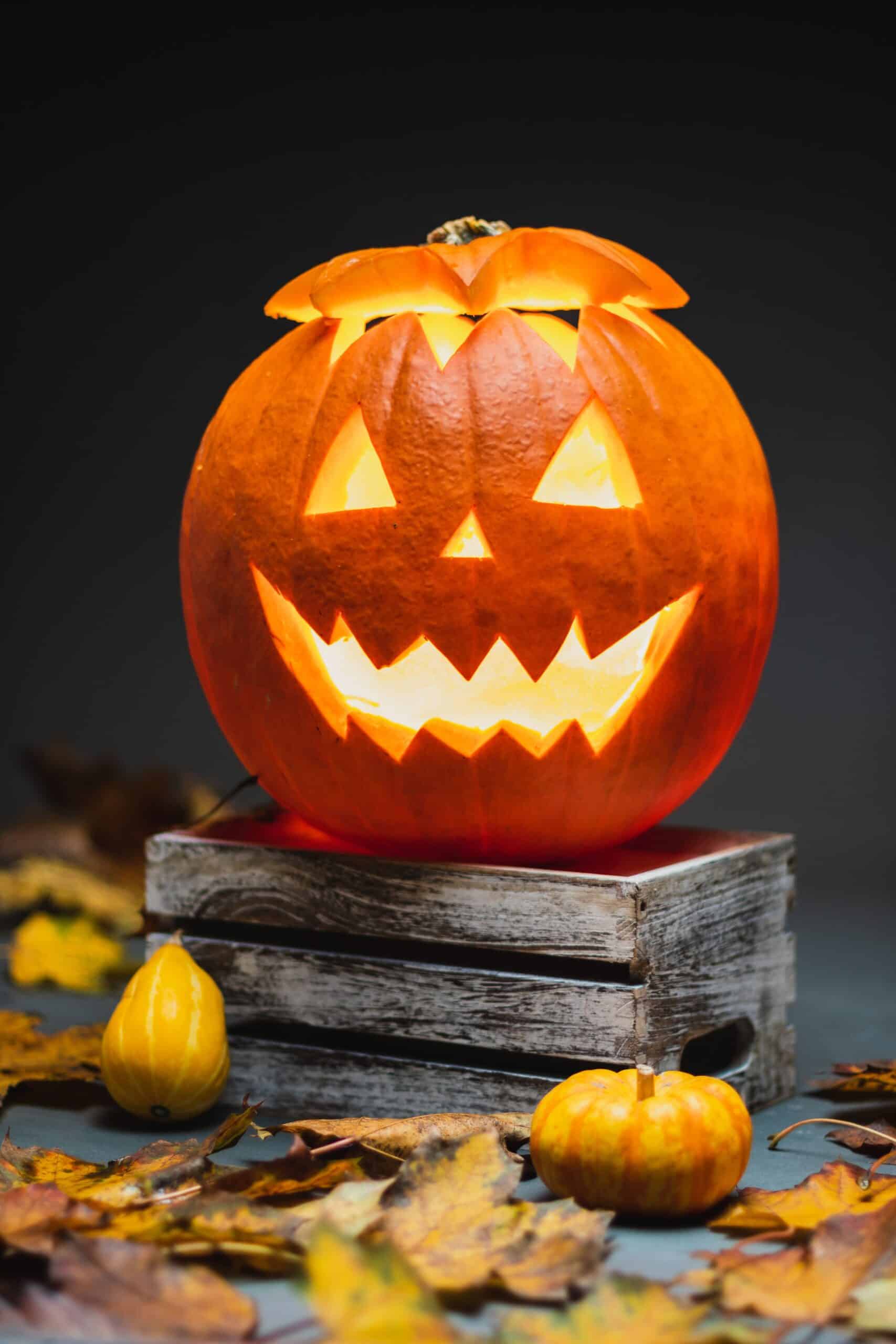 Tips voor de ultieme Halloween pompoen | Miljuschka