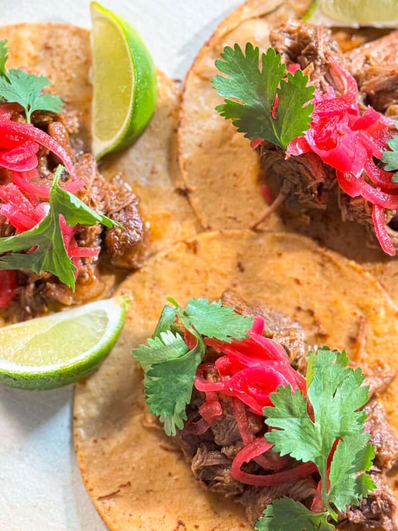 Birria taco's recept | Miljuschka